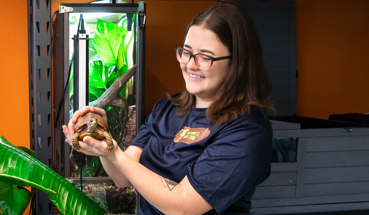 5 EASY Ways to Improve Your Reptile Care | tips for advancing reptile ...
